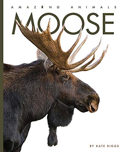 Moose (Amazing Animals): Riggs, Kate: 9781628329179: Amazon.com: Books