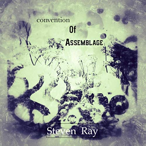 Amazon.com: Convention of Assemblage : Steven Ray: Digital Music