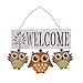 Amazon.com: Primitive Country Wood White Welcome Owl Sign/Wall Art ...