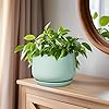 Amazon.com: G EPGardening Ceramic Plant Pots - 6 Inch Pot for Plants ...