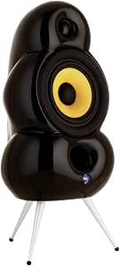 Amazon.com: Scandyna 038085230012 Bigpod Speaker (Black) : Electronics