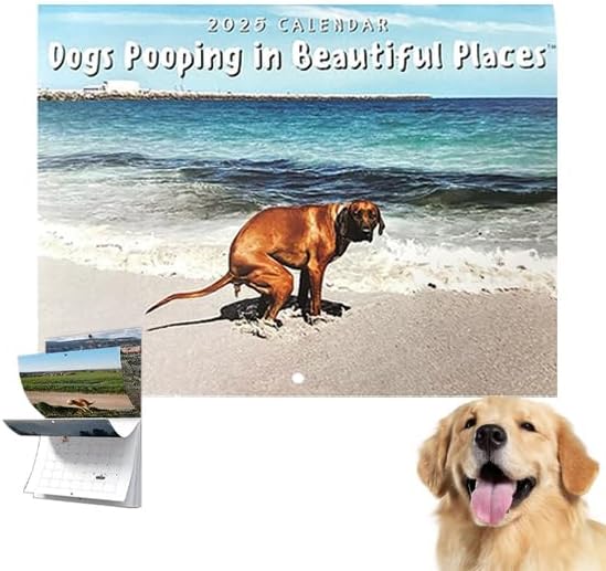 Ecixniy 2025 Pets Calendar New Dog Pooping Wall Calendar, 2025 Dog ...