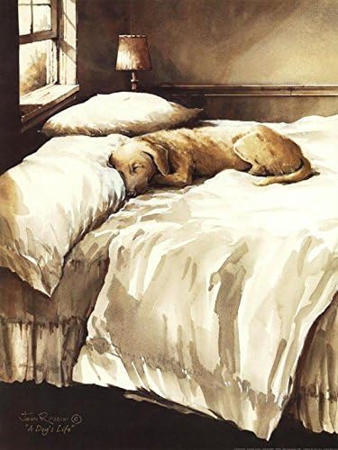 Amazon.com: Buyartforless A Dog's Life by John Rossini 16x12 Country ...