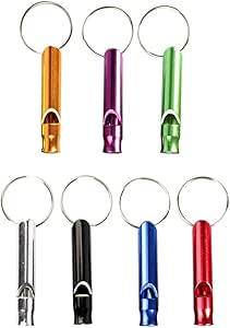 Amazon.com : FOMIYES 7pcs Parrot Training Whistle Eagle Whistle Call ...