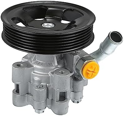 Amazon.com: Hihaha No.4782524AF / Power Steering Pump Assembly for ...