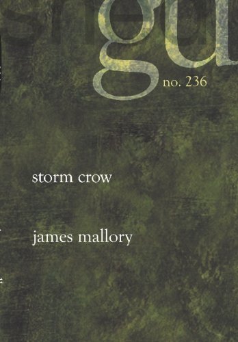 Buy Storm Crow Book Online at Low Prices in India | Storm Crow Reviews ...