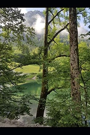 Wald (German Edition) : Amazon.com.tr: Kitap