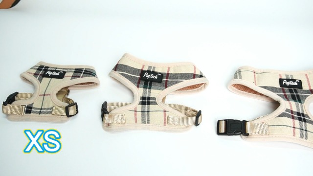 Watch How to measure your dog and choose the correct size? on Amazon Live