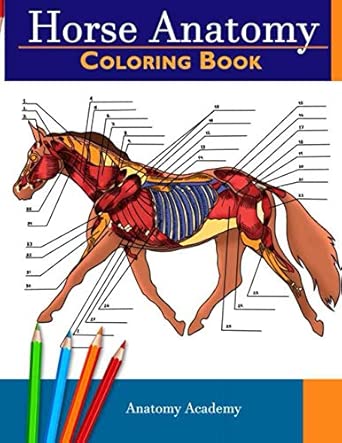 Horse Anatomy Coloring Book: Incredibly Detailed Self-Test Equine ...