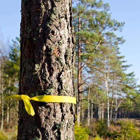 Flagging Tape? Survey Ribbon for Boundaries and Hazardous Areas Non ...