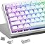Amazon.com: HITIME x XVX Spider Web Keycaps 60 75 100 Percent - Shine ...