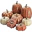 Amazon.com: Artgar Pumpkin Decor Set, 23 PCS Fall Harvest Decorations ...
