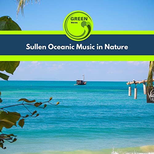 Sullen Oceanic Music in Nature de VARIOUS ARTISTS en Amazon Music Unlimited