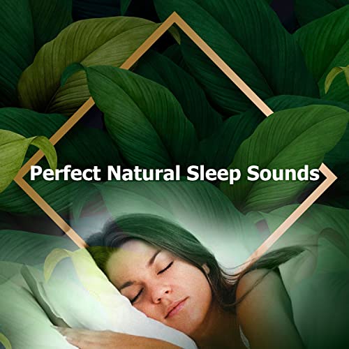 Amazon Music - Jungle Sleep SoundsのPerfect Natural Sleep Sounds ...