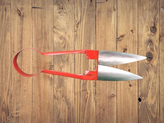 Garden Tool SIDE CUTTER/Secateurs/Grass Cutter, Grass Shear, Pruner ...