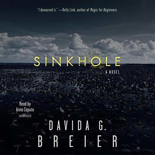 Amazon.com: Sinkhole: A Novel (Audible Audio Edition): Davida G. Breier ...