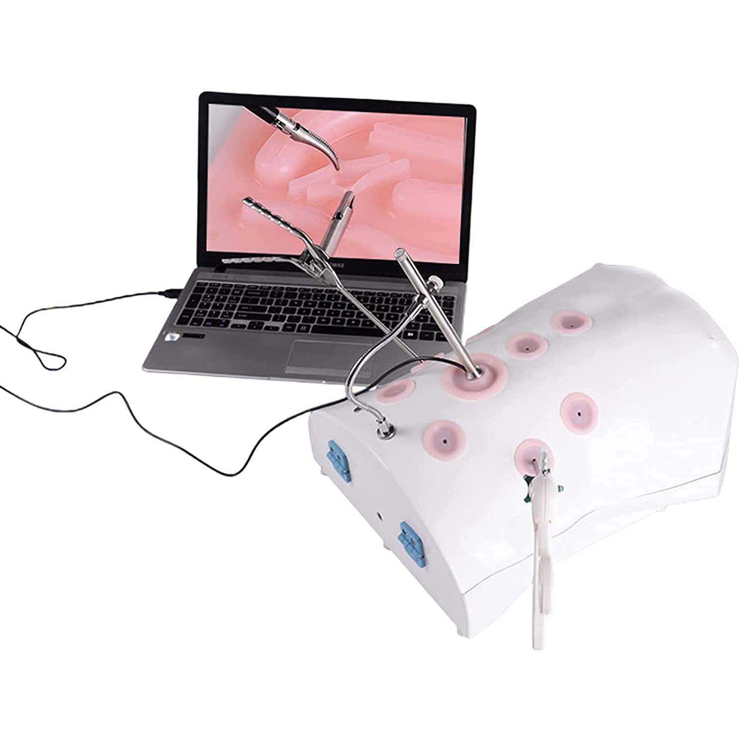 Buy Laparoscopic Trainer Simulator Box kit, Simulation Human ...
