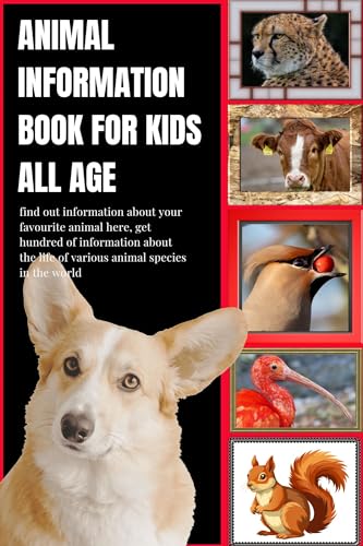 Amazon.in Bestsellers: The most popular items in Children's Books on Birds