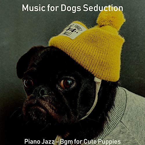 Play Piano Jazz - Bgm for Cute Puppies by Music for Dogs Seduction on ...