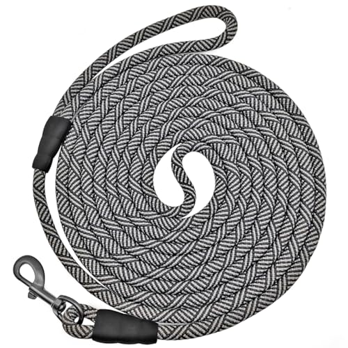 Dog Long Line – The 15 best products compared - Wild Explained