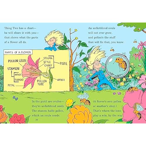 Snapklik.com : Oh Say Can You Seed All About Flowering Plants