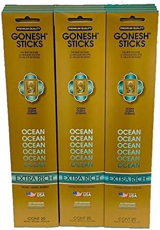 Amazon.com: Gonesh Incense Sticks Extra Rich Collection: Rain 12 Pack ...