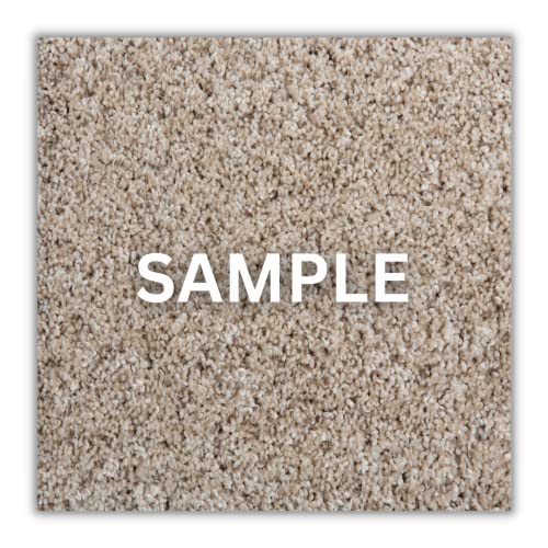 Top 10 Best Carpet Samples Free Squares : Reviews & Buying Guide - Katynel