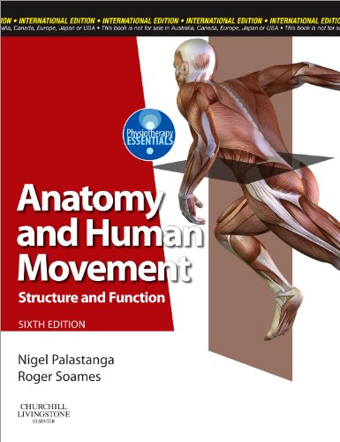 Anatomy and Human Movement: Structure and Function (Physiotherapy ...