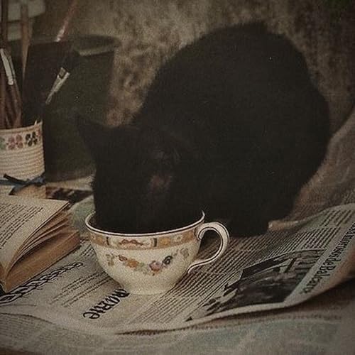 Play Blackened Skies by Slowcore on Amazon Music