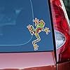 Amazon.com - Tree Frog Sticker Colorful Waterproof Decal by Megan J ...