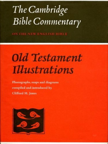 Buy Old Testament Illustrations (Cambridge Bible Commentaries on the ...