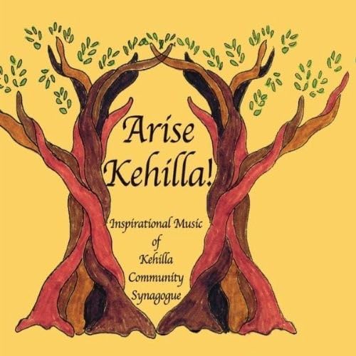 Amazon.com: Arise Kehilla!: 0884501430999: Shulamit Wise Fairman, Beth ...