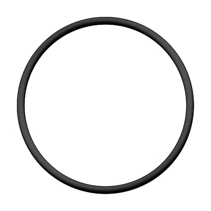 Amazon.com: 350013 Lid O-Ring Replacement for Pentair IntelliFlo ...
