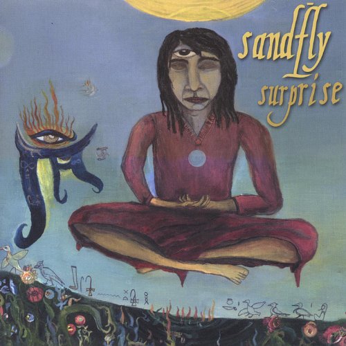 Amazon.com: Surprise : Sandfly: Digital Music