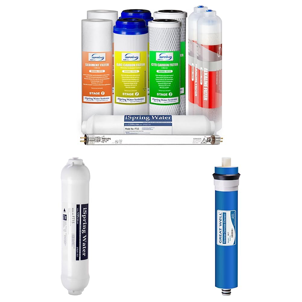 Amazon.com: iSpring F10KU 1-Year Replacement Supply Filter Cartridge ...
