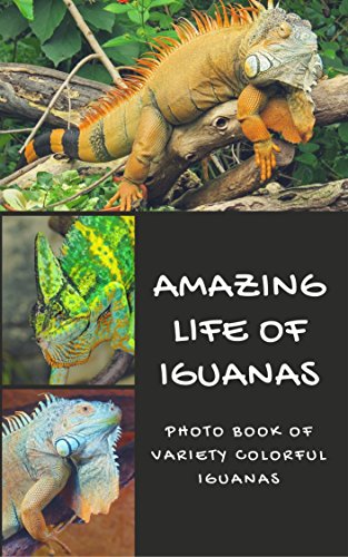 Amazon.co.jp: Amazing Life of Iguanas: Photobook of variety colorful ...