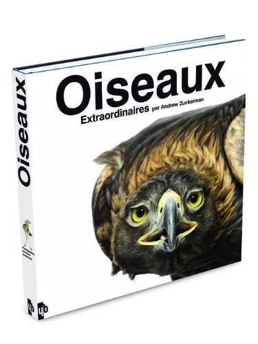 Oiseaux Extraordinaires : Zuckerman, Andrew, Vlack, Alex: Amazon.fr: Livres