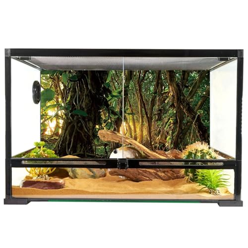 Snapklik.com : Reptile Terrarium Background 36x24 Inch Reptile Tank ...