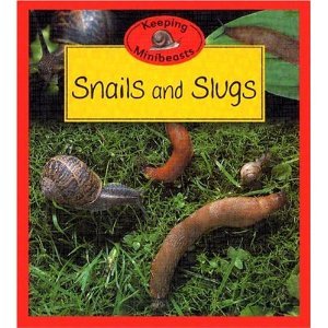 Slugs and Snails (Km): 9780531106211: Books - Amazon.ca