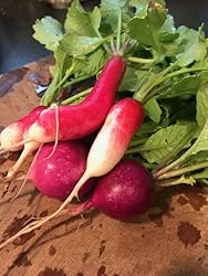 Amazon.com : Seed Needs, Multicolor Radish Seed Packet Collection (6 ...