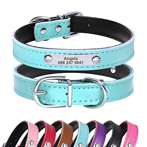 25 Best Personalized Dog Collars in 2024: Reviews & Top Picks | Pango Pets