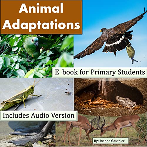 Animal Adaptations for Young Readers (Science Books for Primary ...