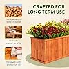 Amazon.com: IDZO Wooden Window Box 40 in, Spacious Wooden Planter Boxes ...