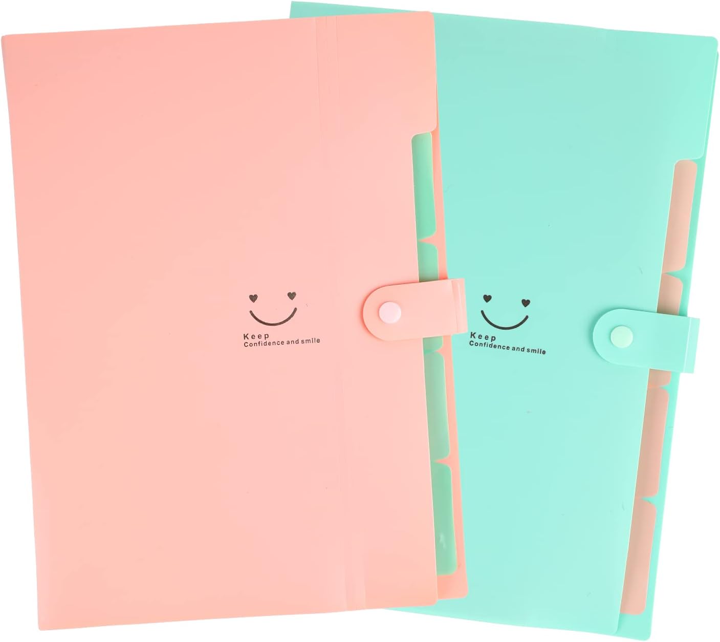 VEYLIN Expanding File Folders, Letter A4 Paper Placstic File Folder 5 ...
