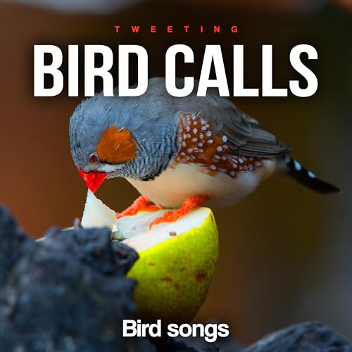 Amazon Music - Bird SongsのTweeting Bird Calls - Amazon.co.jp