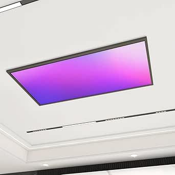 AFWADFWA Decorative Fluorescent Light Covers for Ceiling Lights ...