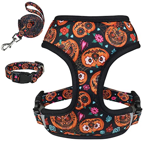 Fall Dog Harnesses – DogSwagery