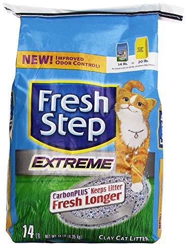 Clay Litter – The 15 best products compared - Wild Explained