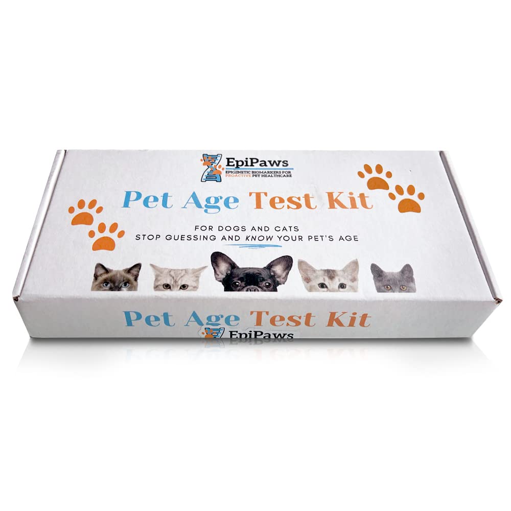 9 Best Dog DNA Test for Mixed Breeds | Beyond the Rescue Guess