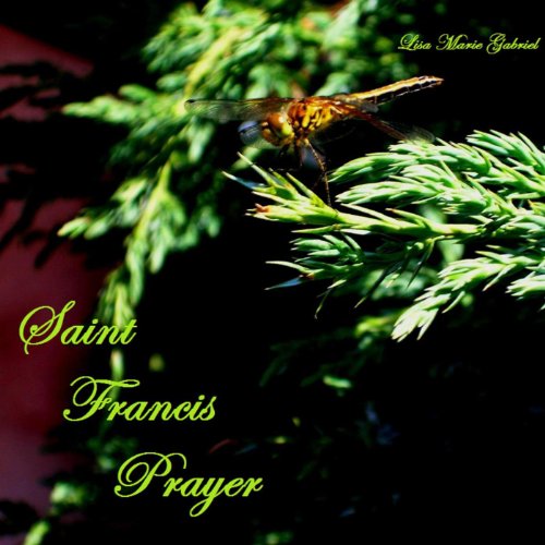 Amazon Music - Lisa Marie GabrielのSt Francis Prayer - Amazon.co.jp